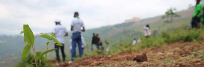 Home Page | Progreen